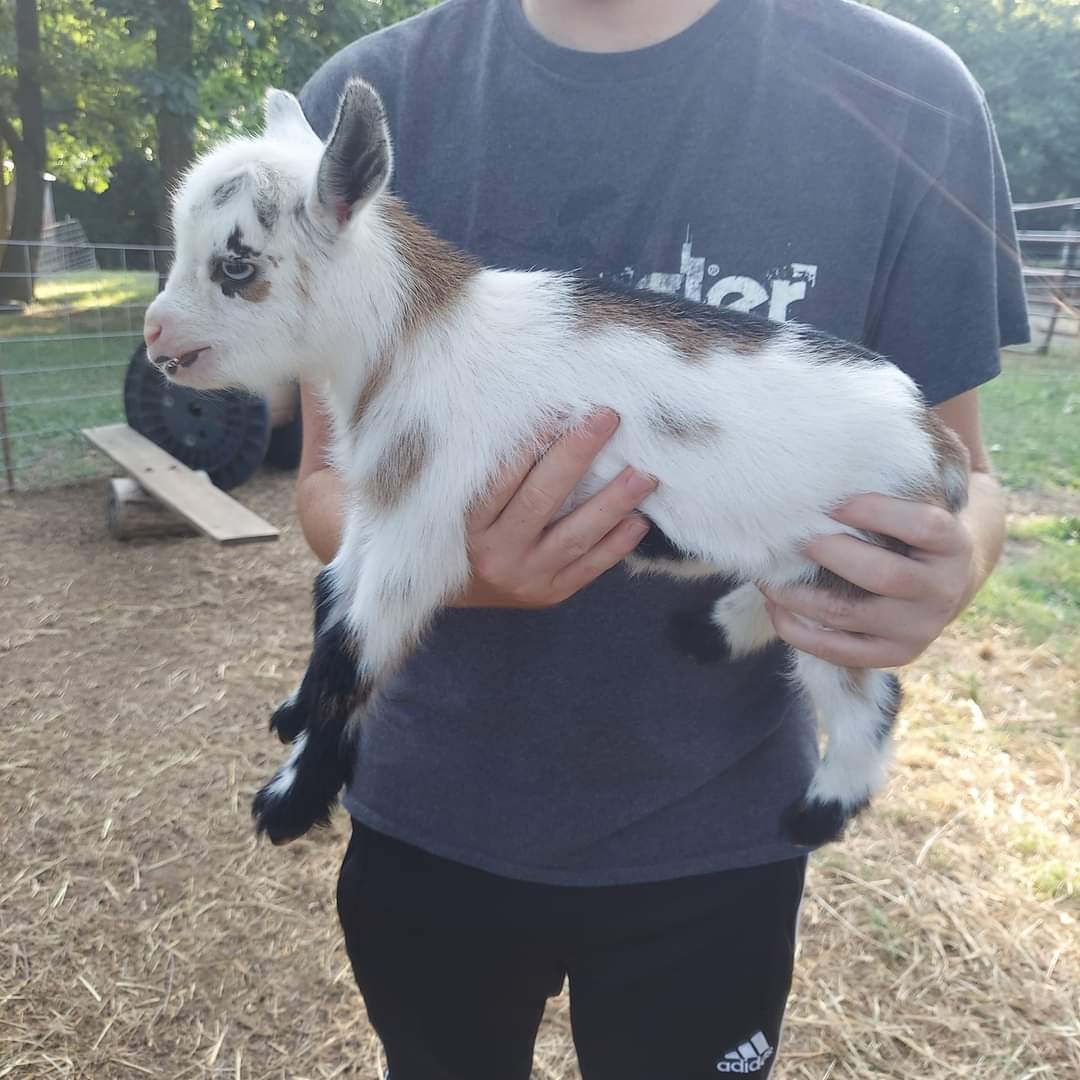 Sean – Miltons Family Farms